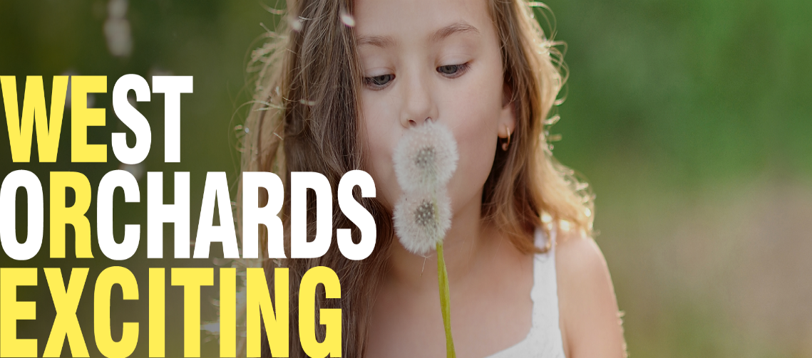 Homepage - West Orchards